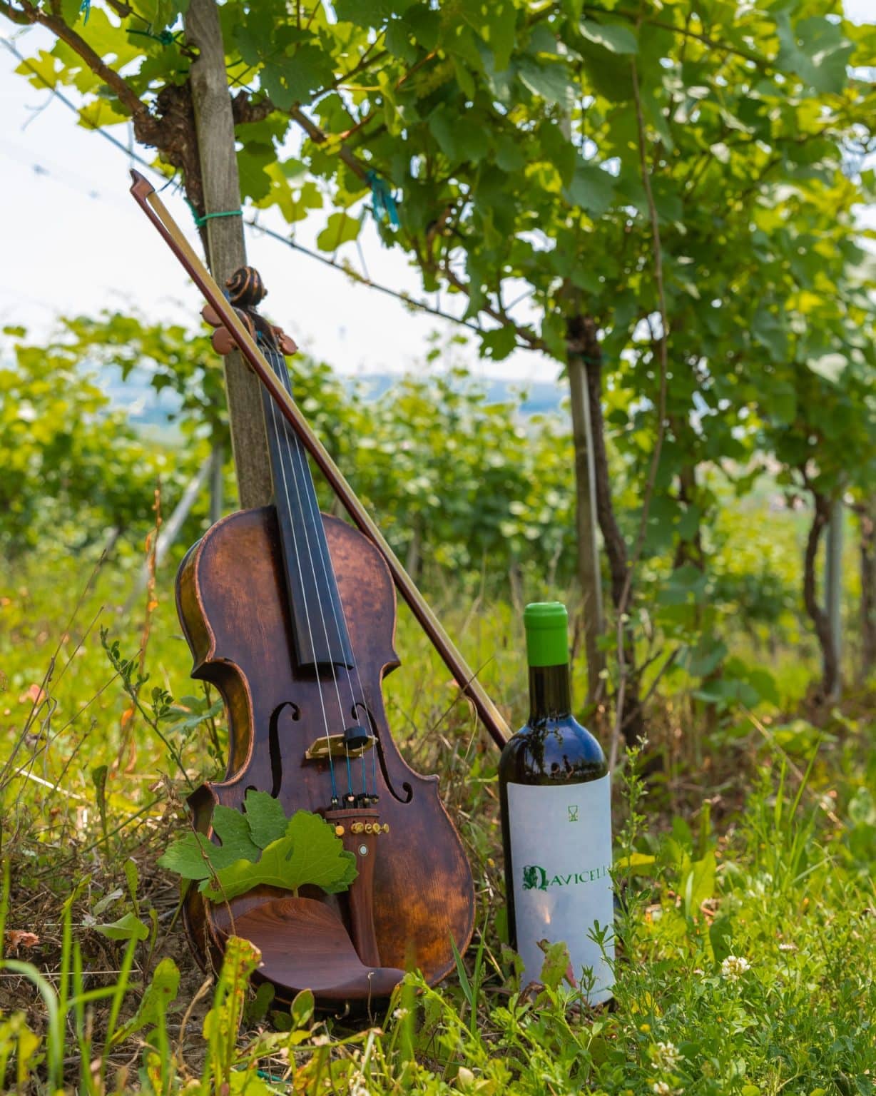 Hotel Jelna: Povestea Noastră, Misiunea și Valorile în Inima Jelnei