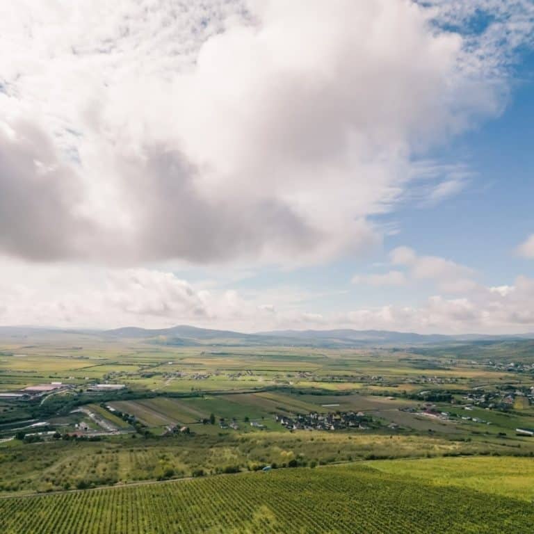 Oferte – Hotel Jelna